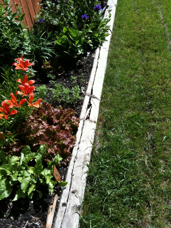 Inferior edging – Best Curb and Curbify Inc.