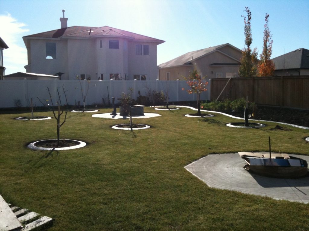 tree circles – Best Curb and Curbify Inc.